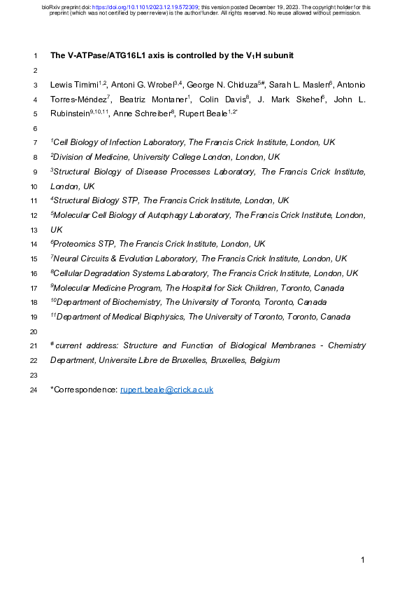 Pdf The V Atpase Atg16l1 Axis Is Controlled By The V1h Subunit