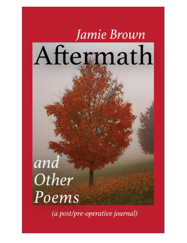(PDF) Aftermath cover FINAL