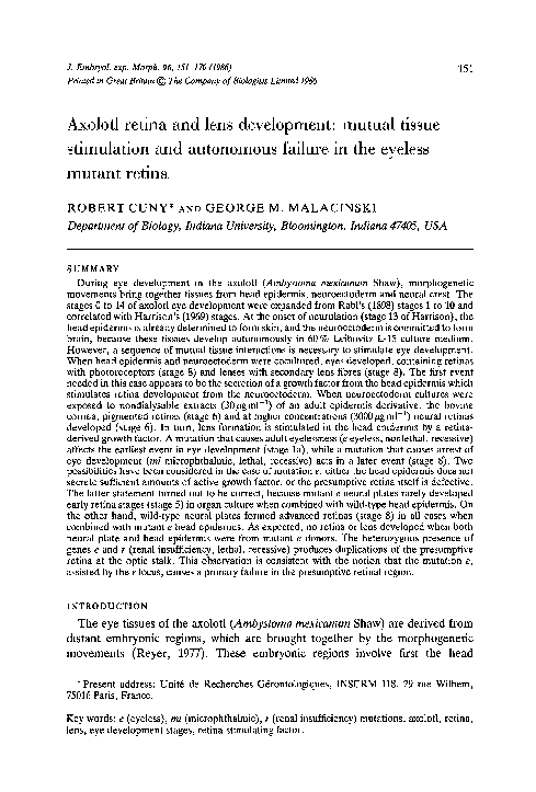 (PDF) Axolotl retina and lens development: mutual tissue stimulation and autonomous failure in ...