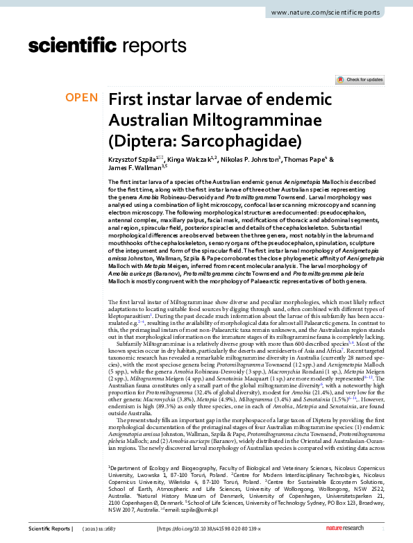 (PDF) First instar larvae of endemic Australian Miltogramminae (Diptera ...