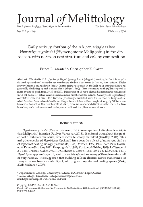 (PDF) Daily activity rhythm of the African stingless bee Hypotrigona ...