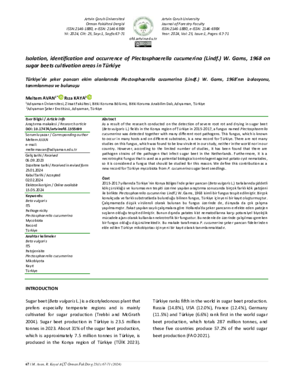 (PDF) Isolation, identification and occurrence of Plectosphaerella ...