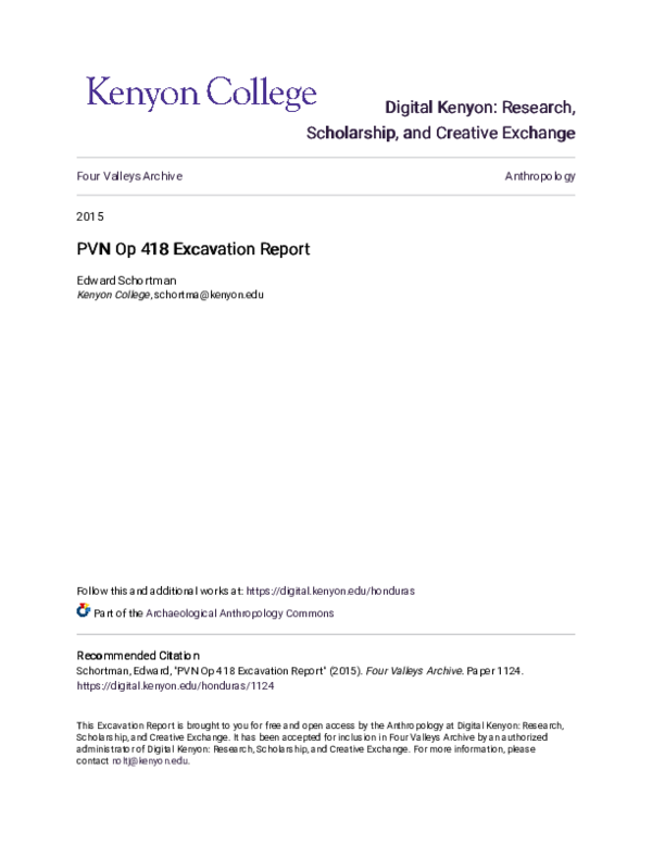 (PDF) PVN Op 418 Excavation Report