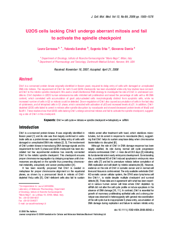 (PDF) U2OS cells lacking Chk1 undergo aberrant mitosis and fail to ...
