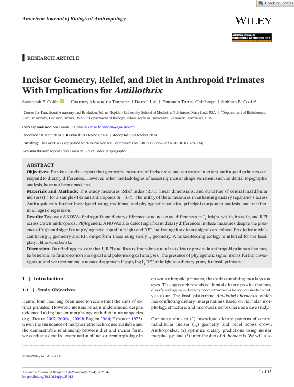 (PDF) Incisor geometry, relief, and diet in anthropoid primates with ...