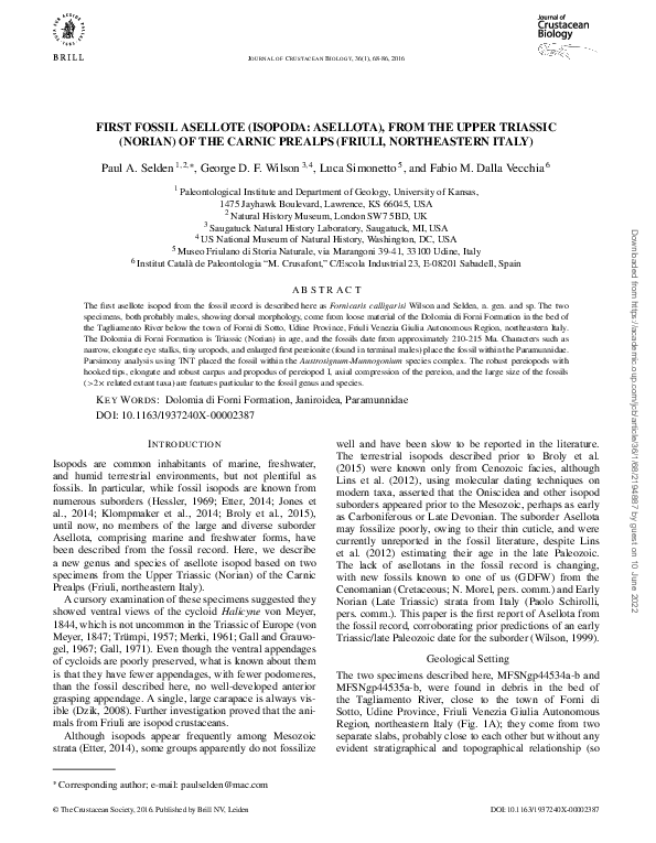 (PDF) First fossil asellote (Isopoda: Asellota), from the Upper ...