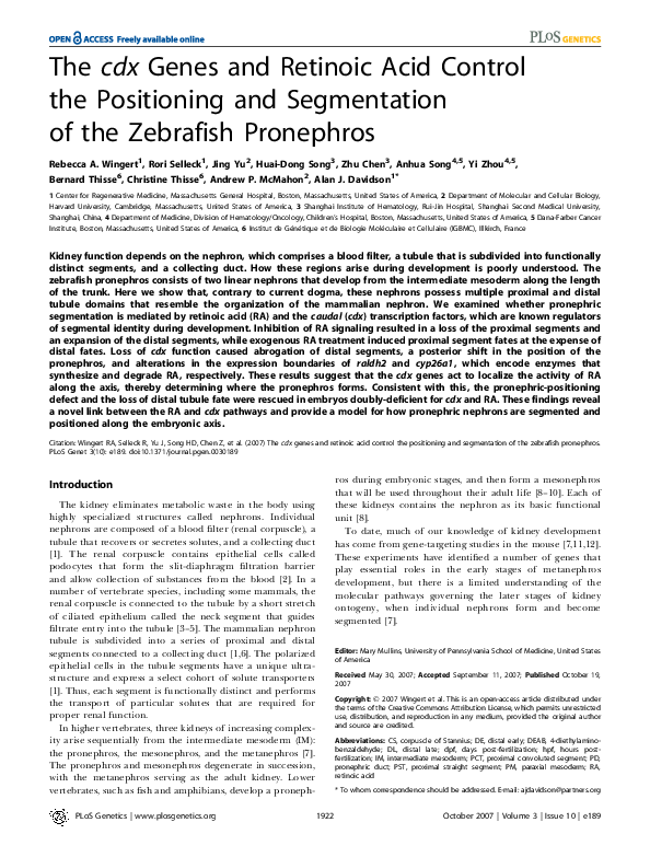(PDF) The cdx Genes and Retinoic Acid Control the Positioning and ...