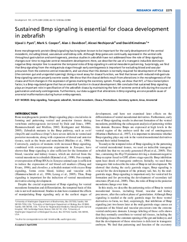 (PDF) Sustained Bmp signaling is essential for cloaca development in ...