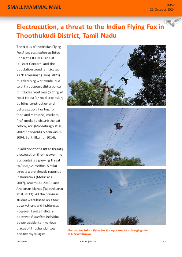 (PDF) Electrocution