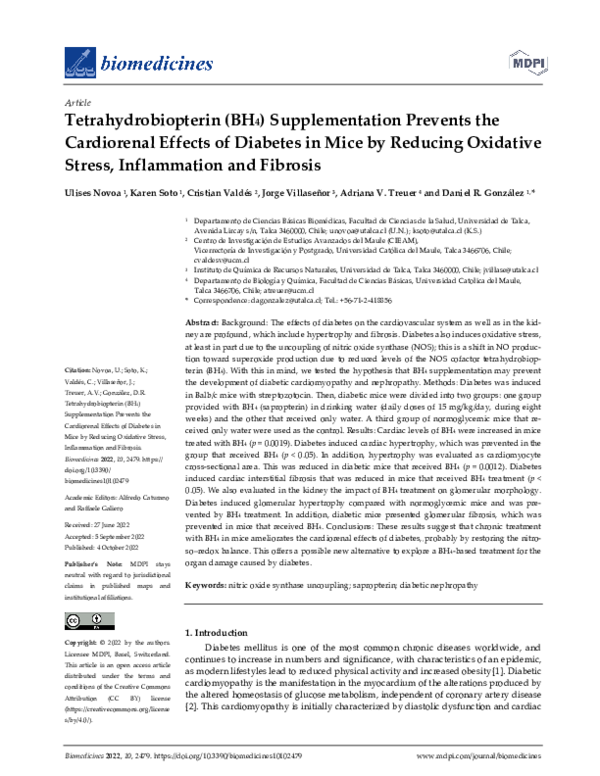 (PDF) Tetrahydrobiopterin (BH4) Supplementation Prevents the ...