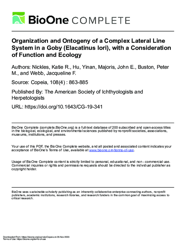 (PDF) Organization and Ontogeny of a Complex Lateral Line System in a ...