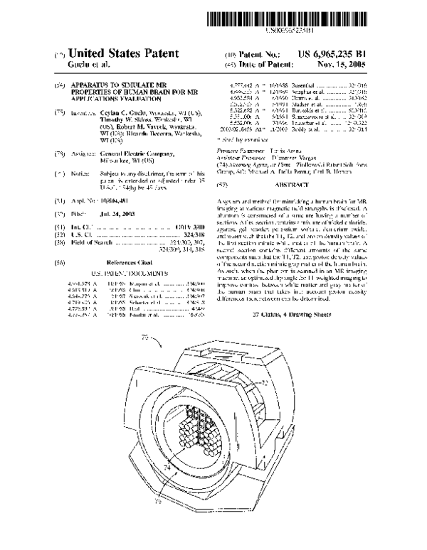 (PDF) Apparatus to simulate MR properties of human brain for MR ...