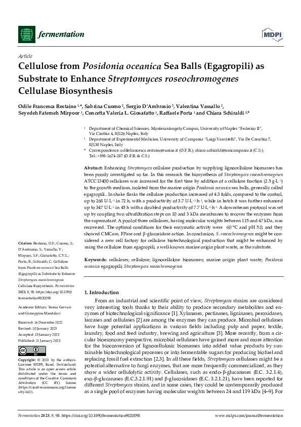 (PDF) Cellulose from Posidonia oceanica Sea Balls (Egagropili) as ...
