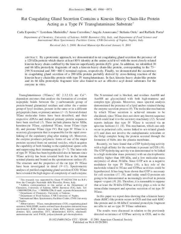(PDF) Rat Coagulating Gland Secretion Contains a Kinesin Heavy Chain ...