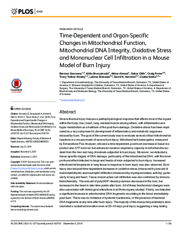 (PDF) Time-Dependent and Organ-Specific Changes in Mitochondrial Function, Mitochondrial DNA ...