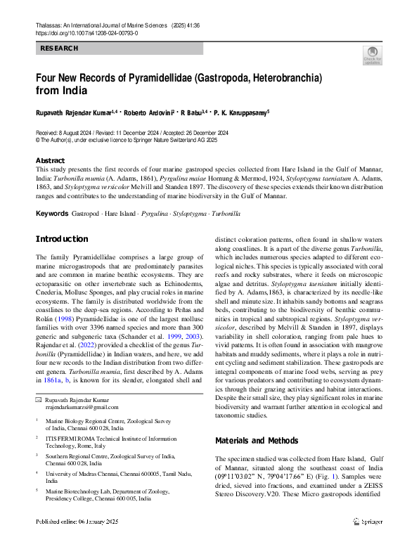 (PDF) Four New Records of Pyramidellidae (Gastropoda, Heterobranchia ...