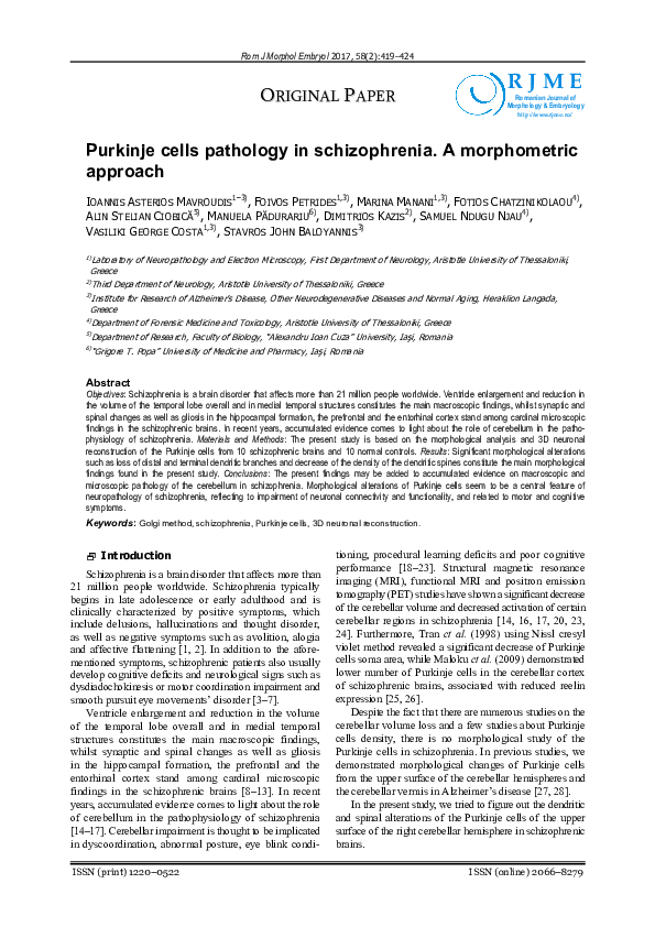(PDF) Purkinje cells pathology in schizophrenia. A morphometric approach