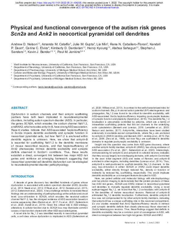 (PDF) Physical and functional convergence of the autism risk genes ...