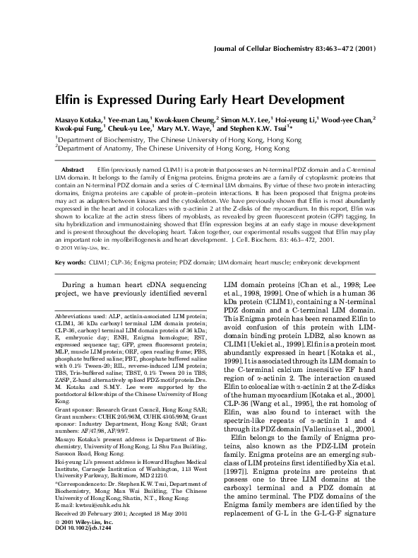(PDF) Elfin is expressed during early heart development