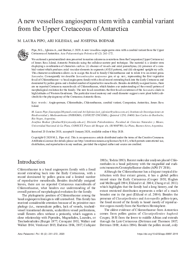 (PDF) New vesselless angiosperm stem with a cambial variant from the ...