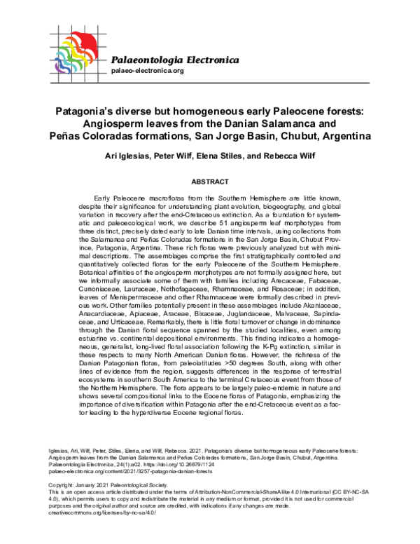 (PDF) Patagonia’s diverse but homogeneous early Paleocene forests ...