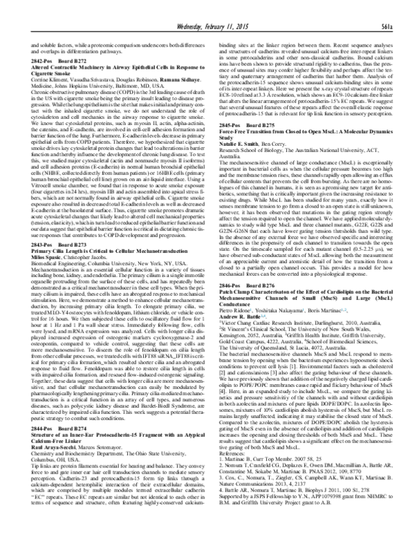 (PDF) Patch Clamp Characterisaton of the Effect of Cardiolipin on the Bacterial Mechanosensitive ...