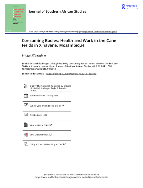 (PDF) Consuming Bodies: Health and Work in the Cane Fields in Xinavane ...