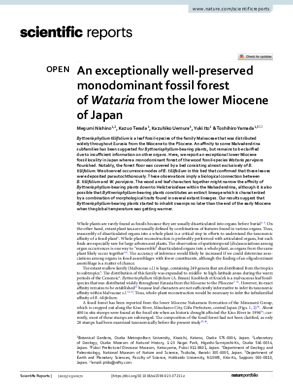 (PDF) An exceptionally well-preserved monodominant fossil forest of ...