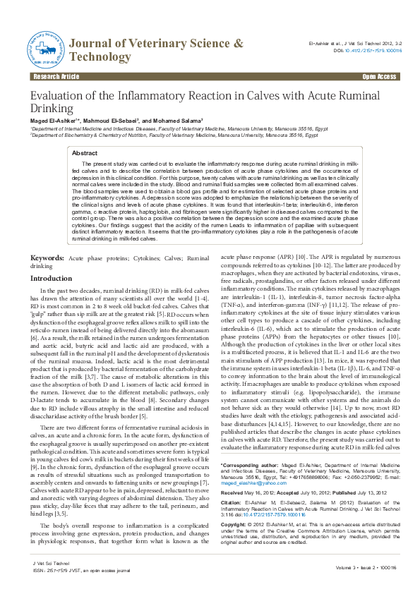 (PDF) Cytokine Response in Calves with Ruminal Drinking