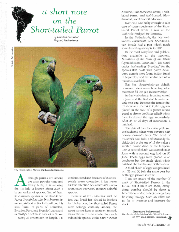 (PDF) a short note on the Short-tailed Parrot