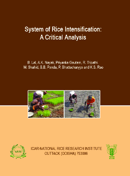 (PDF) System of Rice Intensification: A Critical Analysis