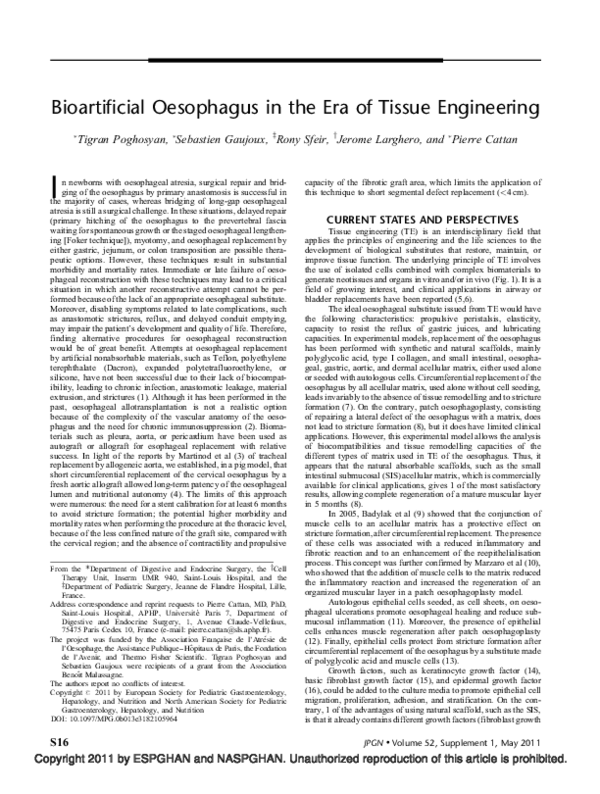 (PDF) Bioartificial Oesophagus in the Era of Tissue Engineering