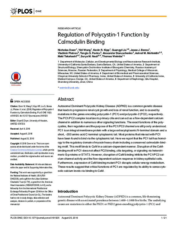 (PDF) Regulation of Polycystin-1 Function by Calmodulin Binding