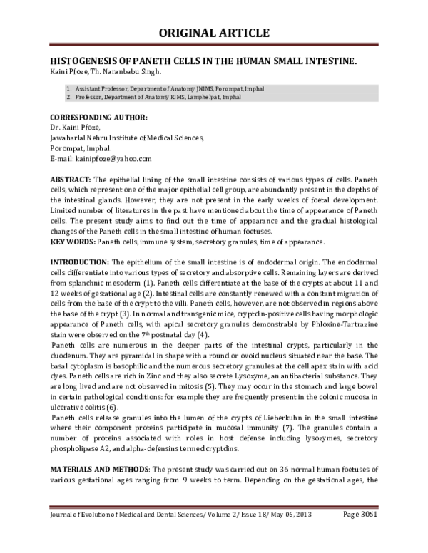 (PDF) Histogenesis of Paneth Cells in the Human Small Intestine