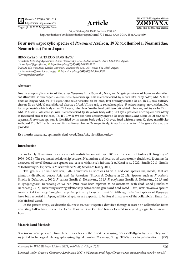 (PDF) Four new saproxylic species of Paranura Axelson, 1902 (Collembola ...