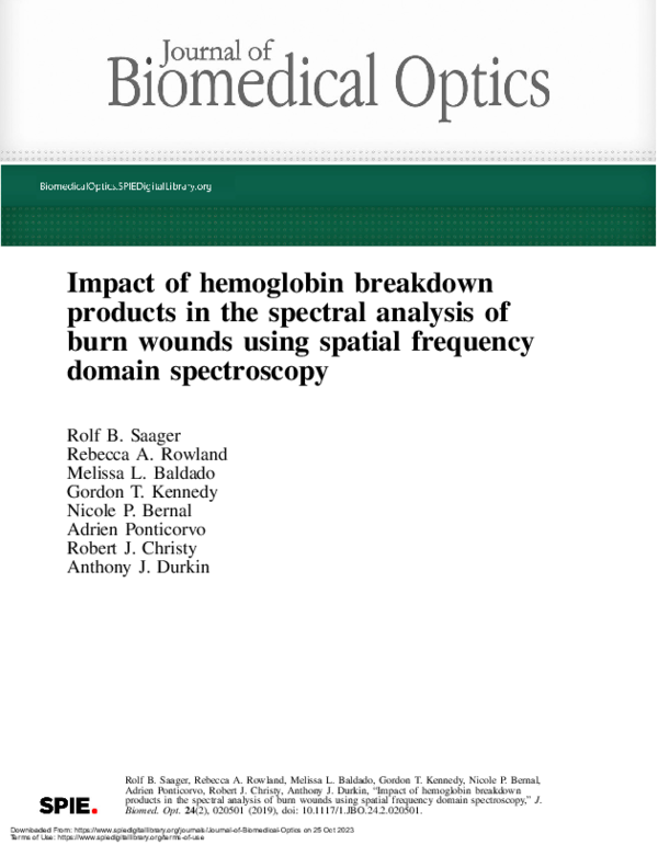(PDF) Impact of hemoglobin breakdown products in the spectral analysis ...