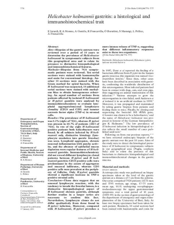 (PDF) Helicobacter heilmannii gastritis: a histological and ...
