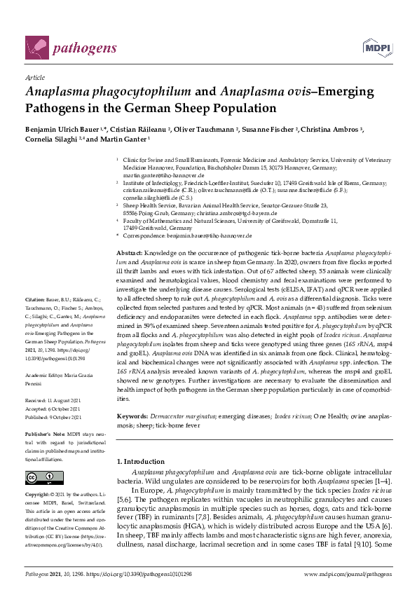 (PDF) Anaplasma phagocytophilum and Anaplasma ovis–Emerging Pathogens ...