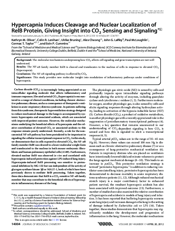 (PDF) Hypercapnia Induces Cleavage and Nuclear Localization of RelB ...