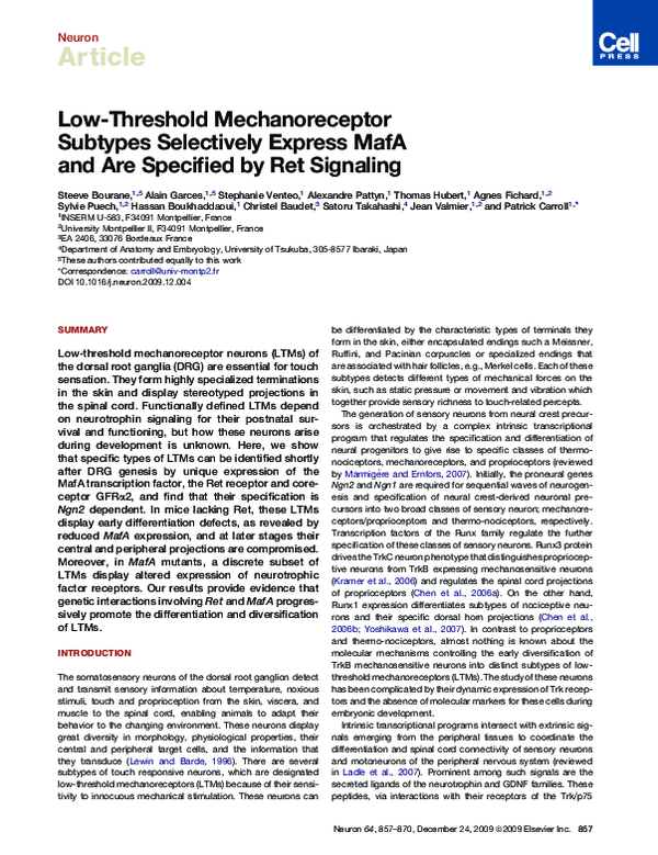 (PDF) Low-Threshold Mechanoreceptor Subtypes Selectively Express MafA ...