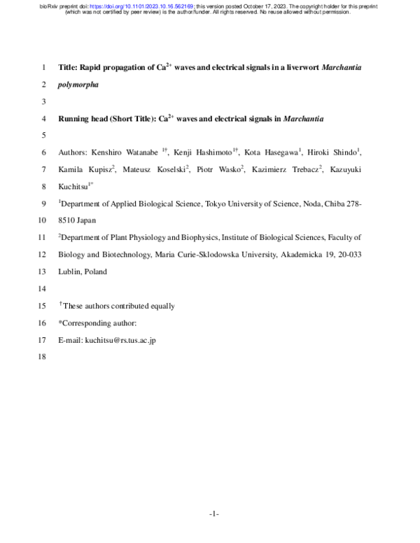 (PDF) Rapid propagation of Ca2+waves and electrical signals in a ...