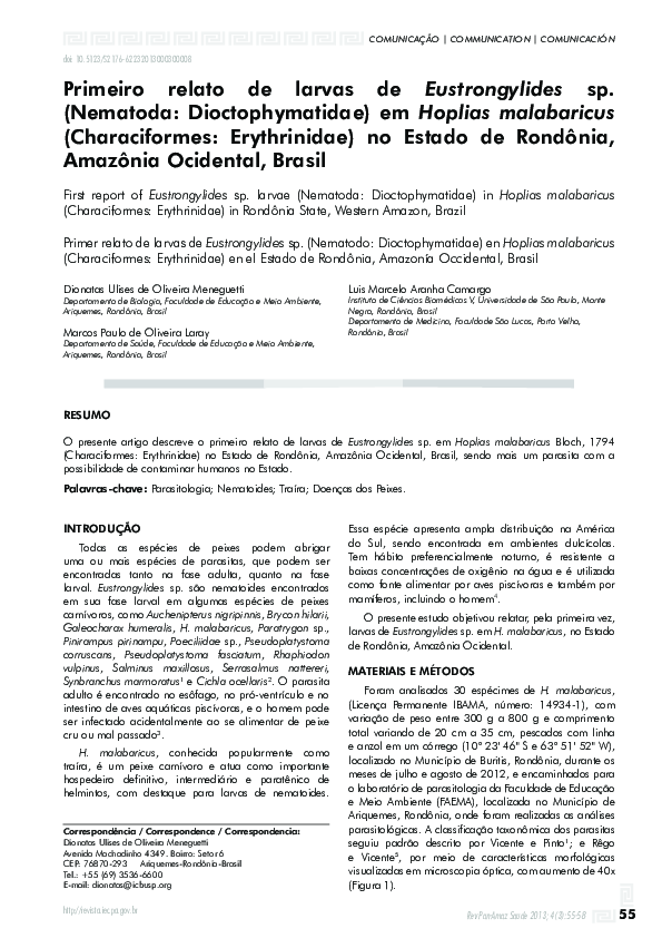 (PDF) Primeiro relato de larvas de Eustrongylides sp. (Nematoda ...