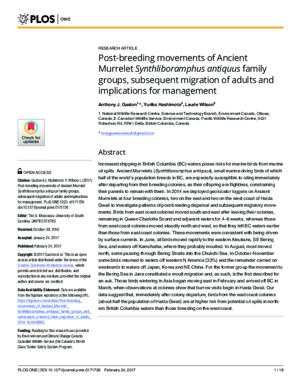 (PDF) Post-breeding movements of Ancient Murrelet Synthliboramphus ...