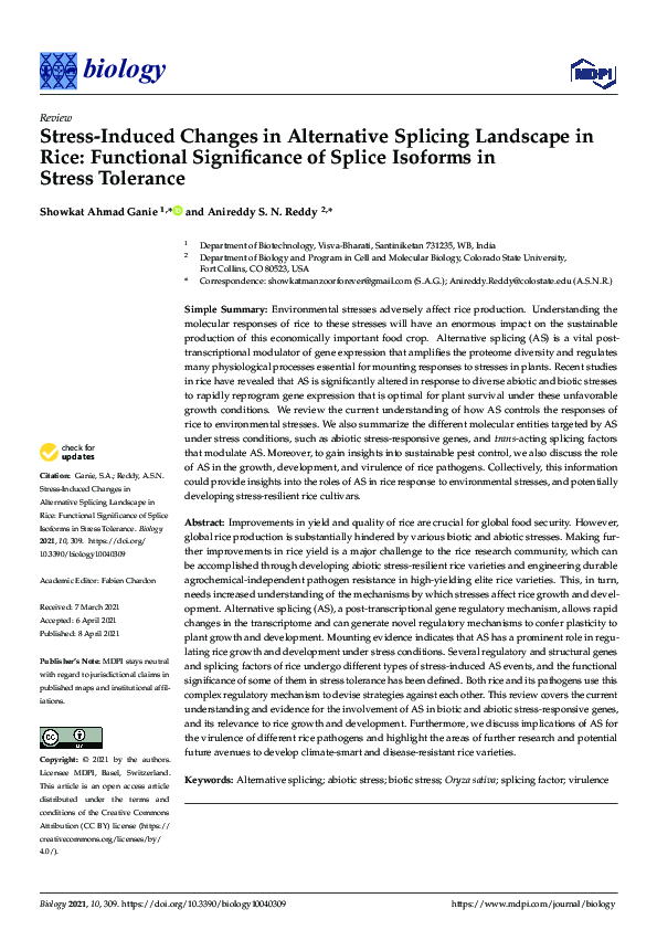 (PDF) Stress-Induced Changes in Alternative Splicing Landscape in Rice ...