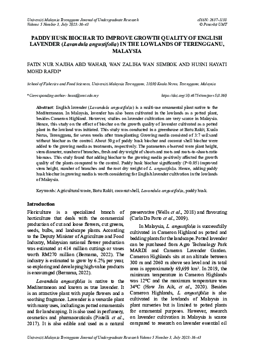 (PDF) PADDY HUSK BIOCHAR IS BENEFICIAL TO IMPROVE GROWTH QUALITY OF ...
