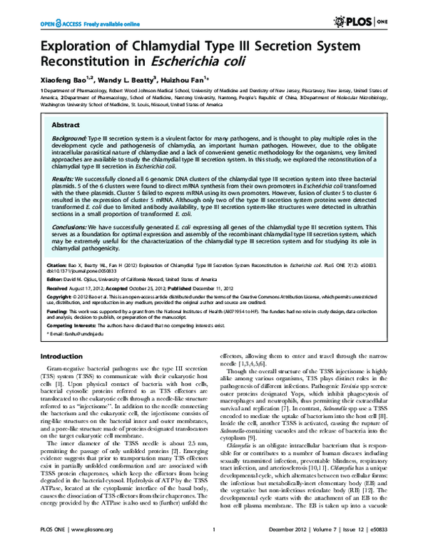 (PDF) Exploration of Chlamydial Type III Secretion System Reconstitution in Escherichia coli