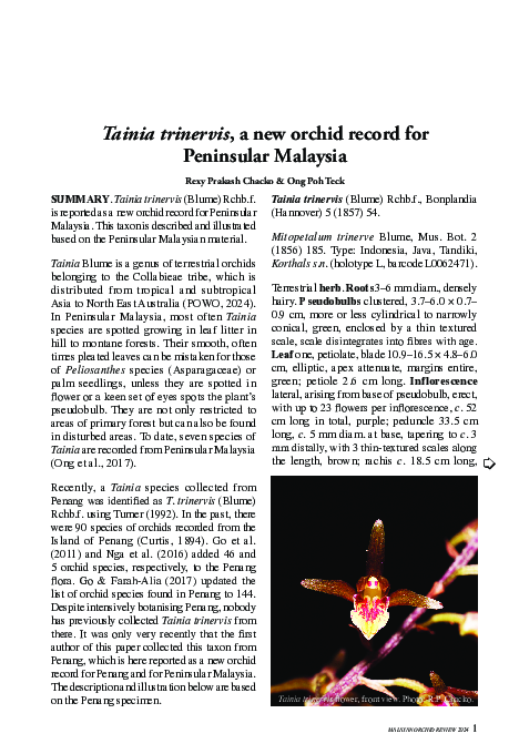 (PDF) Tainia trinervis, a new orchid record for Peninsular Malaysia