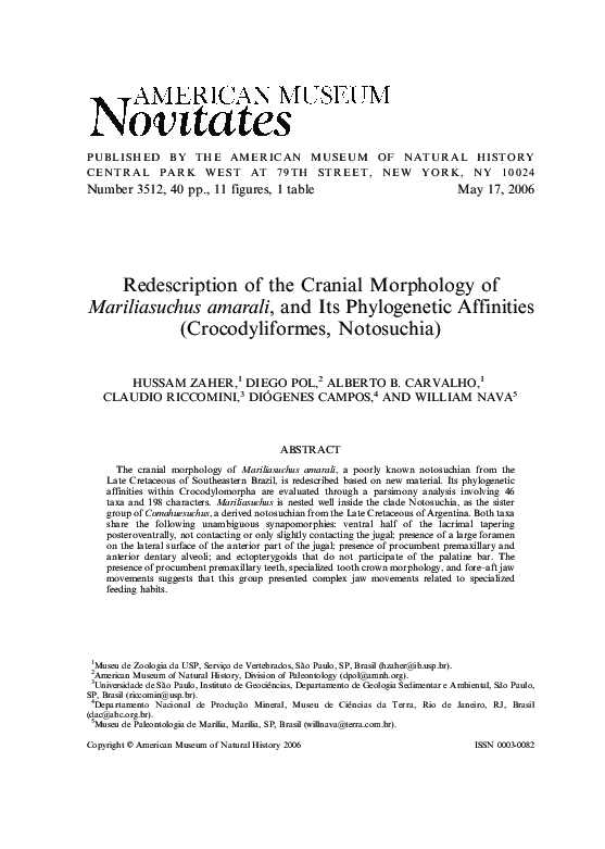 (PDF) Redescription of the Cranial Morphology of Mariliasuchus Amarali ...