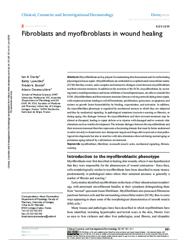 (PDF) Fibroblasts and myofibroblasts in wound healing