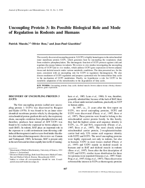 (PDF) Uncoupling Protein 3: Its Possible Biological Role and Mode of ...